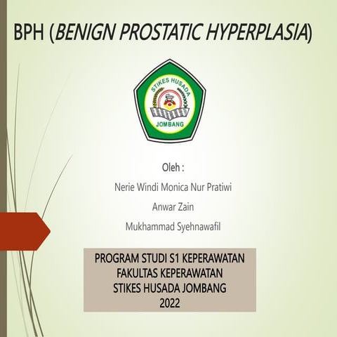 1. PPT BPH.pptx