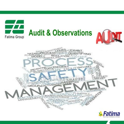 1. Audit and Observations.pdf