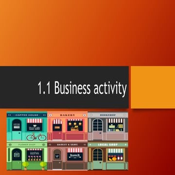 Chapter 1 PowerPoint Business Studies.pptx