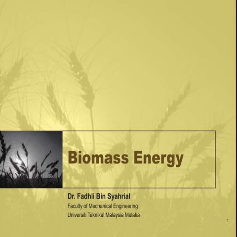 1. Biomass Biofuel.ppt