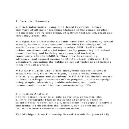 1. Executive Summarya. Brief, informative, using bold-faced.docx