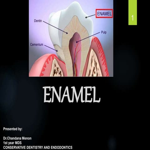 Dento enamel junction | DOC