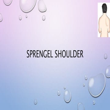 1.SPRENGEL SHOULDER.pptx