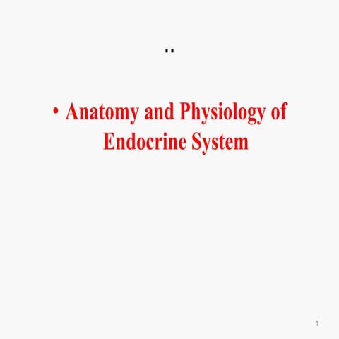 Anatomy and Physiology of Endocrine System | PPT