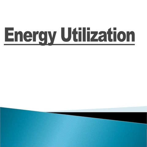 Energy Utilization Pptx