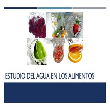 1.1 Agua en los alimentos.pdf