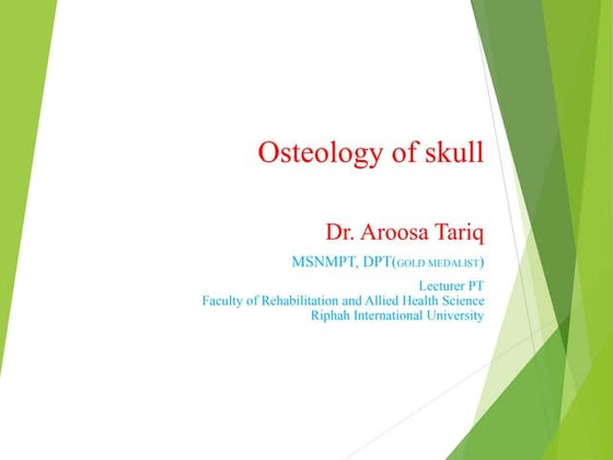 Anatomy of the Skull | PPT | Bone and Joint Conditions | Diseases and ...