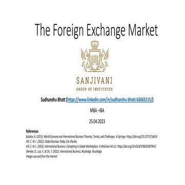Economics Project Class 12 (Foreign Exchange Markets) | PDF