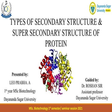 Types of Protein Secondary Structures | PPT