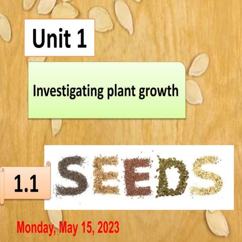 1.1 investigating plant growth.pptx | Gardening | Home & Garden