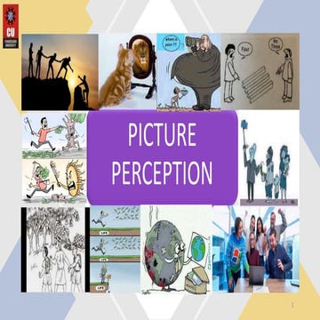1.1 PICTURE PERCEPTION.pptx