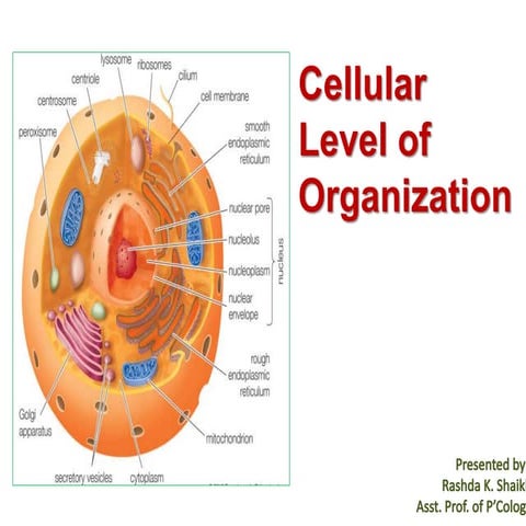 1.2 cellular level of Organisation.pptx