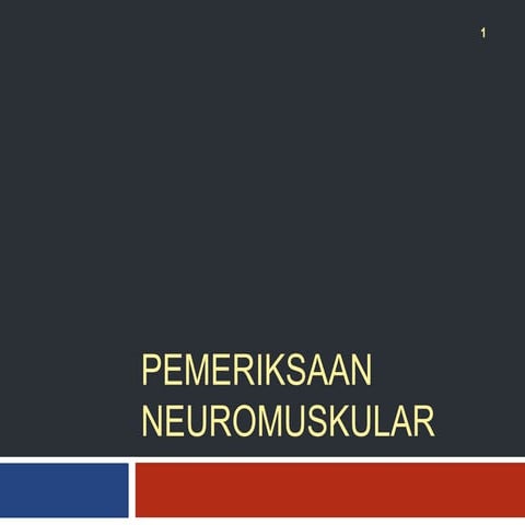 12 nervus cranial | DOCX