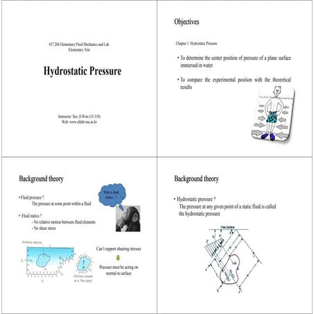 Fluid Mechanic Lab - Hydrostatic Pressure | PDF