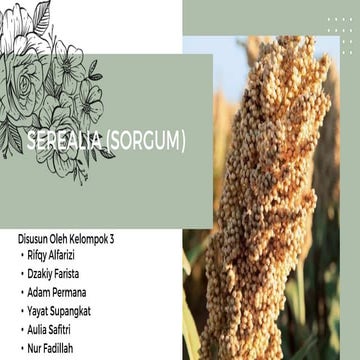 SEREALIA (SORGUM) DALAM PRODUKSI PENGOLAHAN HASIL NABATI.pptx