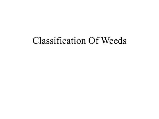 Classification of weeds | DOCX