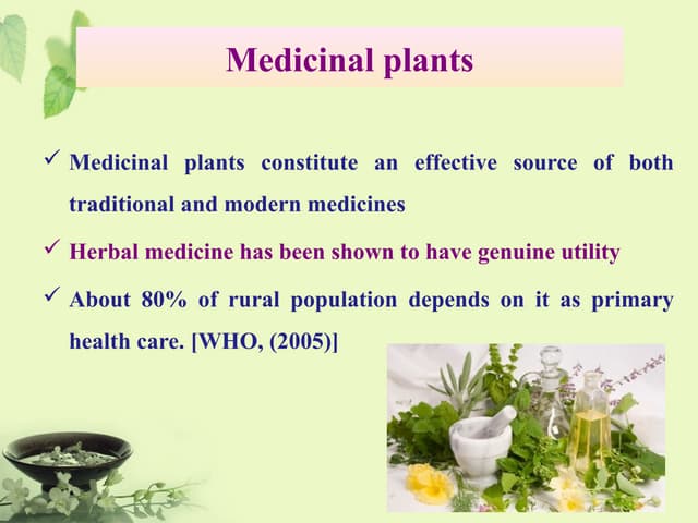 Ethnobotany: Definition, Development, Impact on traditional medicines ...