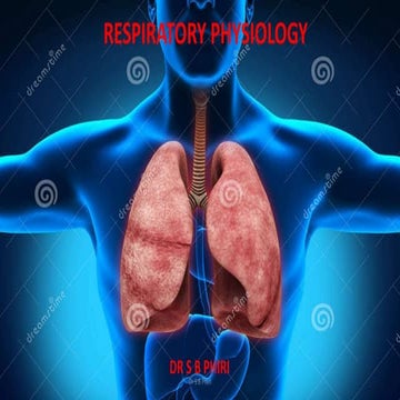 1. Respiratory system of both the upper and lower respiratory tract ...