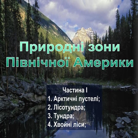 білий ведмідь | PPTX