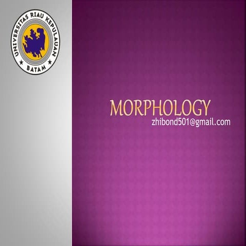 1. Morphology in LINGUISTICS TREE.pptxafafaf | PPTX