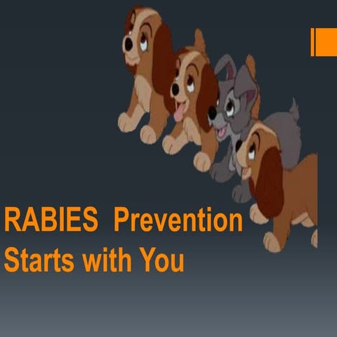 1.RABIES Awareness Presentaion powerpoint | PPTX