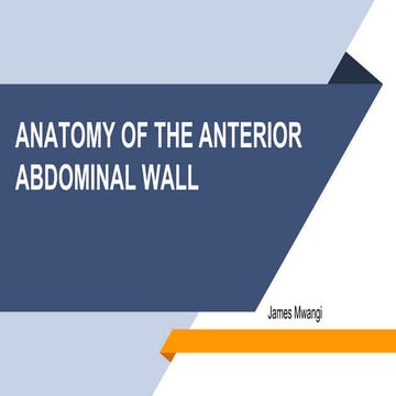 Lumbar triangle(Petit’s triangle) and it’s anatomical characteristics ...