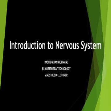 1.CNS.central nervous system slideshare.pptx