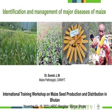 1. International Training Workshop on Maize production in Laos.pptx