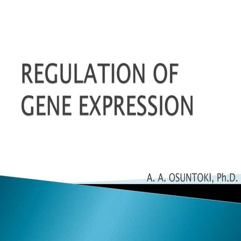 1. REGULATION OF GENE Expression-note .pptx