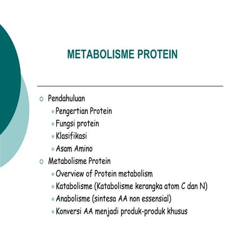 1.METABOLISME PROTEIN TUBUH PADA GIZIppt | PPT