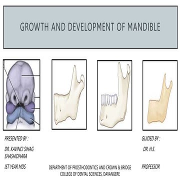 growth and development of mandible both prenatal and postnatal | PPT