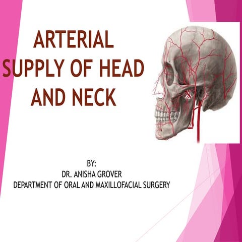 maxillary artery presentation for anatomy | PPTX
