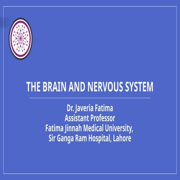 The Brain and neuro systems in Psychopharmacology | PPTX