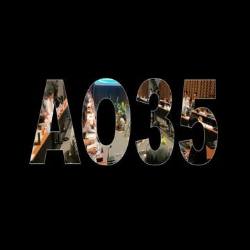 1. AO35 Mechanism the Road to Better Understanding | PDF