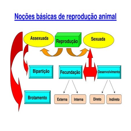 Aula de biologia 1º ano reprodução animal | PDF
