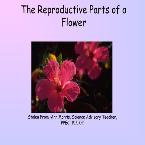 Parts of the flower | PPT