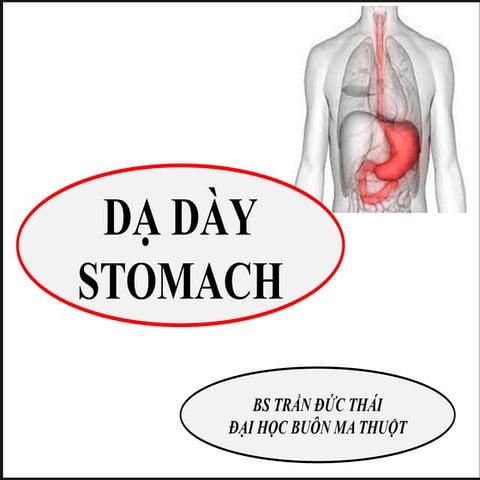 1. Dạ dày.pptx dạ dày dạ dày ddddddddddd | PPTX