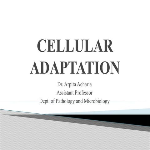 1.3. cellular adaptation. How cell adapt. | PPTX