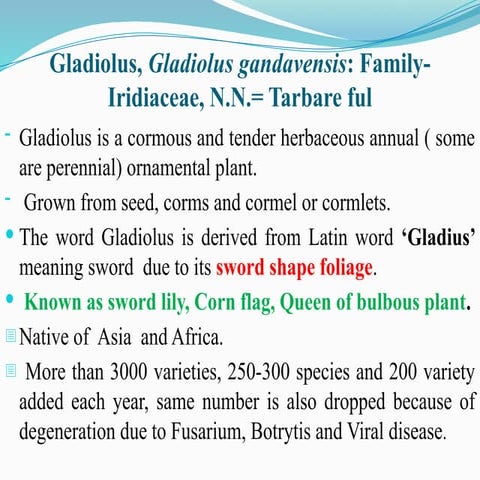 1. Cultivation Practice of Gladiolus.pptx