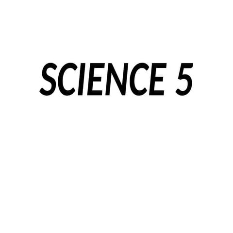 1. SCIENCE CONDUCTORS W-2.pptxfor grade 4 | PPTX