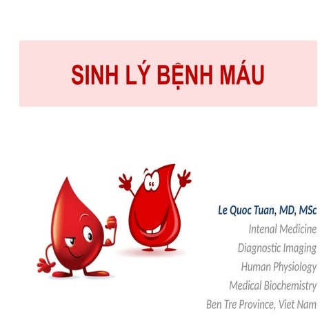 SINH LÝ BỆNH MÁU (Le Quoc Tuan, MD, MSc) | PPTX