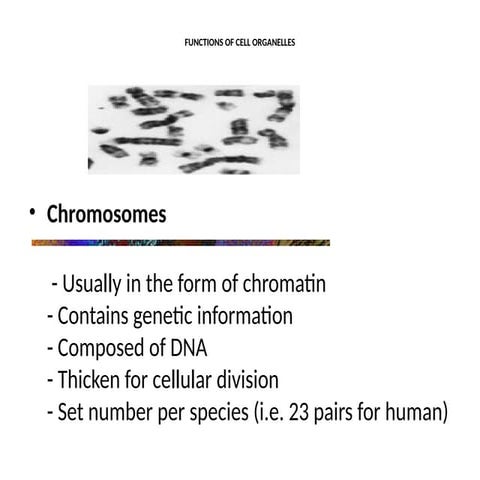1 Cell Biology Notes For Biochemistry 1 Pptx