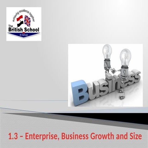 1.3---Enterprise--business-growth-and-size.pptx