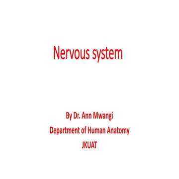 Nervous system ppt | PPTX