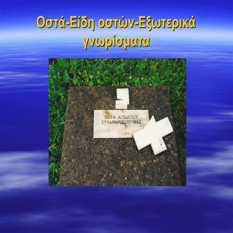 τα ανθρωπινα οστα και η χρησιμοτητα τους | PPT
