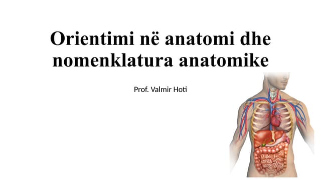 Skeleti i njeriut | PPTX