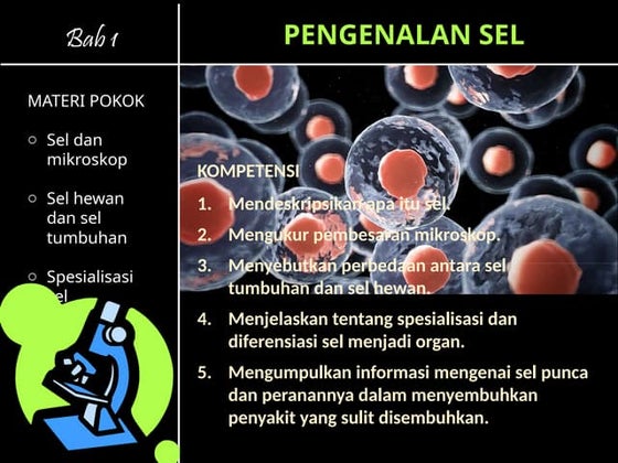 MODUL AJAR SEL & MIKROSKOP.pdf