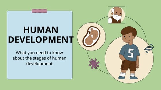 The human life cycle | PPT