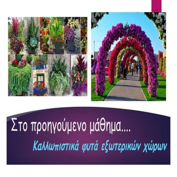 ΒΙΩΜΑΤΙΚΗ ΜΕΘΟΔΟΣ ΜΕΤΑΦΥΤΕΥΣΗ ΓΙΑΝΝΟΠΟΥΛΟΥ (1).pptx