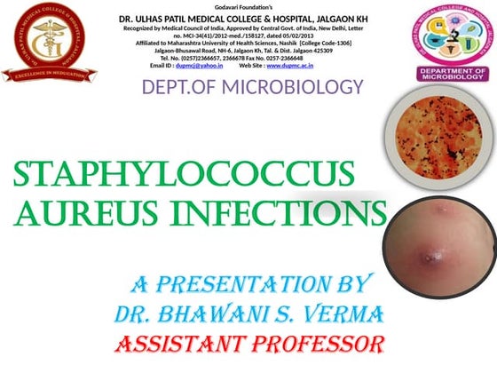 Staphylococcus aureus potential vaccine for skin and soft tissue ...